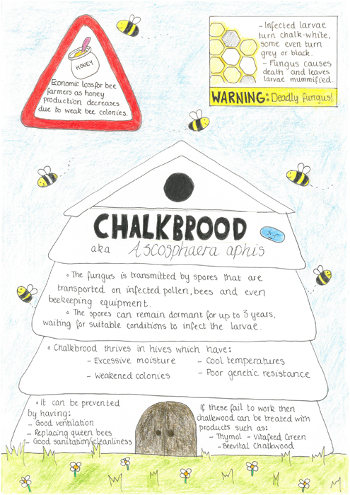 MiSAC – Promoting microbiology in schools since 1969