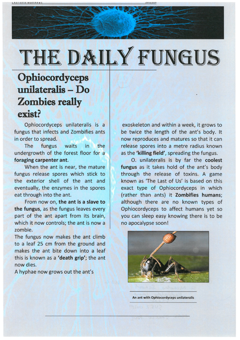 MiSAC – Promoting microbiology in schools since 1969