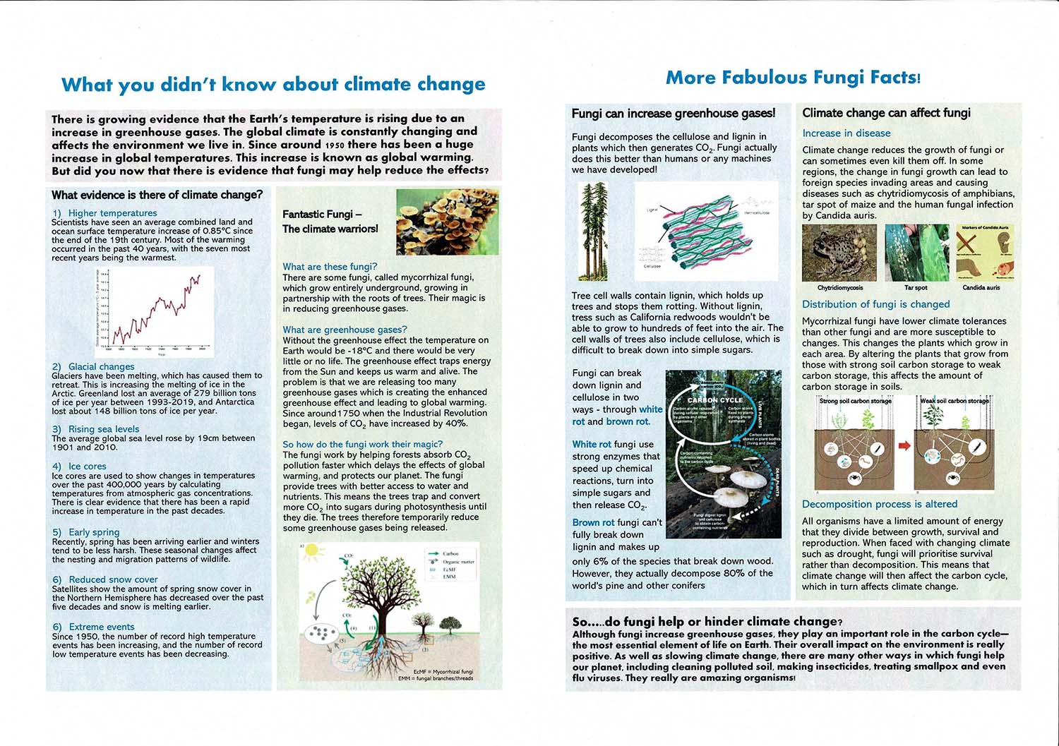 MiSAC – Promoting microbiology in schools since 1969
