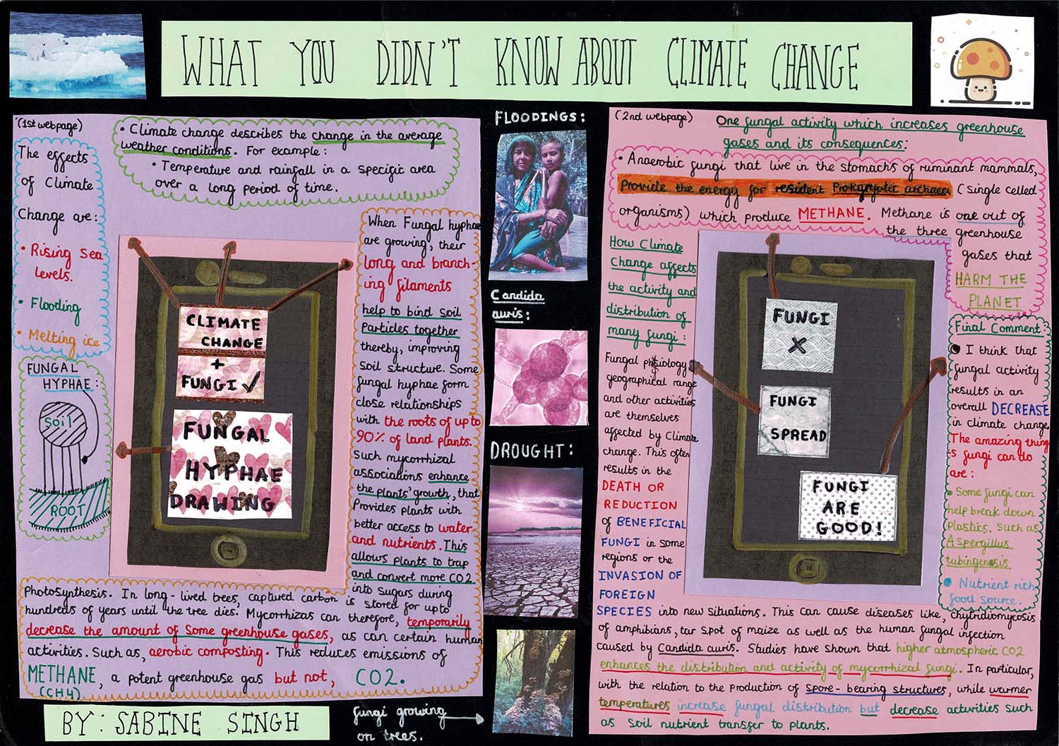 MiSAC – Promoting microbiology in schools since 1969