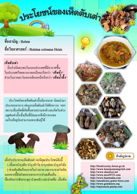 MiSAC – Promoting microbiology in schools since 1969