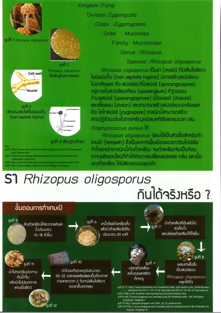 MiSAC – Promoting microbiology in schools since 1969