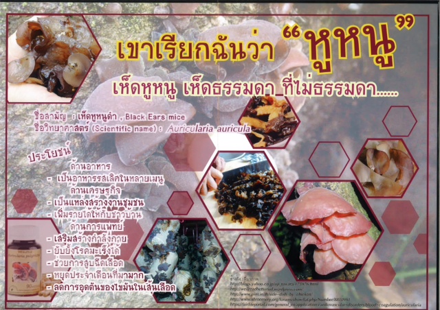 MiSAC – Promoting microbiology in schools since 1969