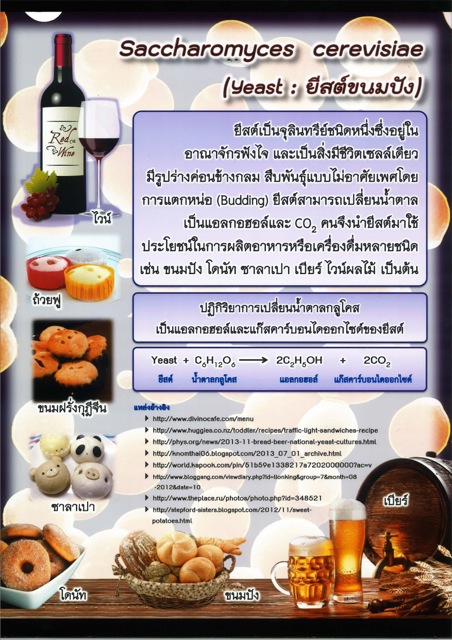 MiSAC – Promoting microbiology in schools since 1969